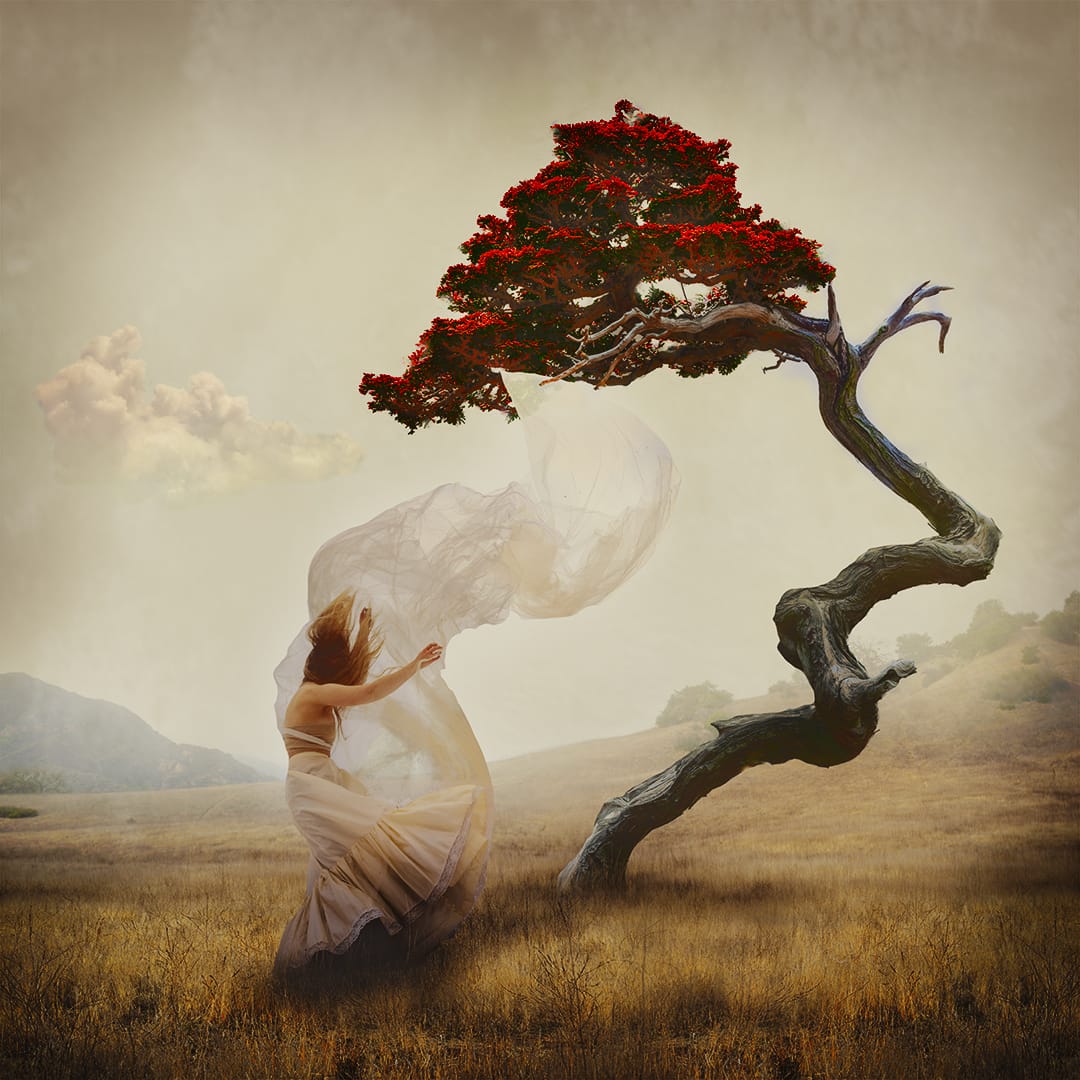 Happy Accidents: Brooke Shaden - JoAnne Artman Gallery